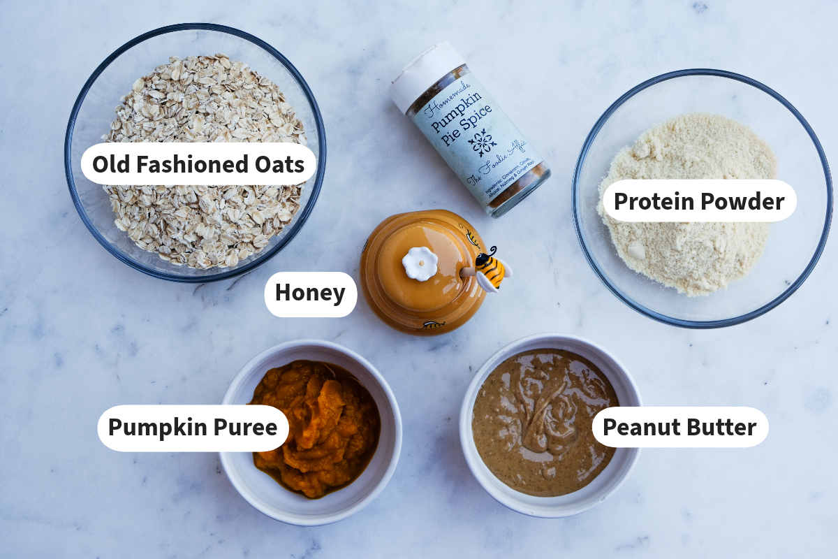 No-Bake Pumpkin Protein Bites with Fall Flavored Spices