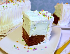 Homemade Chocolate Ice Cream Cake With Mint Chip | The Foodie Affair