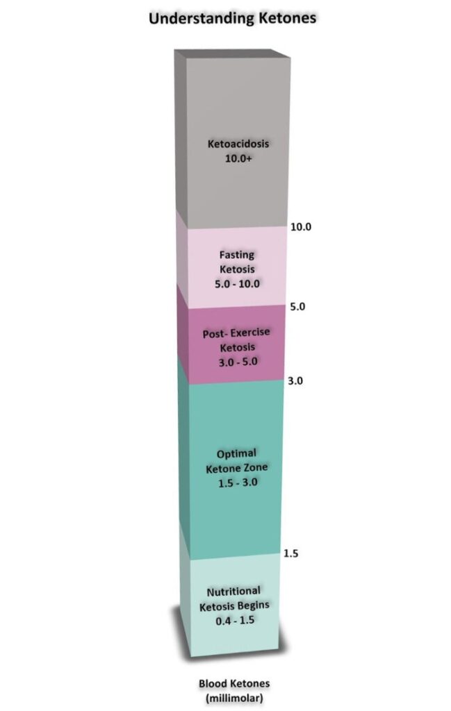 The Difference Between Keto and Low Carb | The Foodie Affair