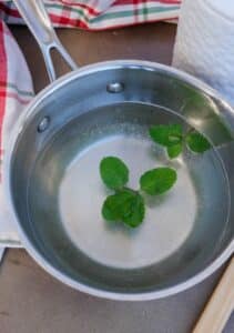 Simple Homemade Peppermint Syrup Recipe - The Foodie Affair