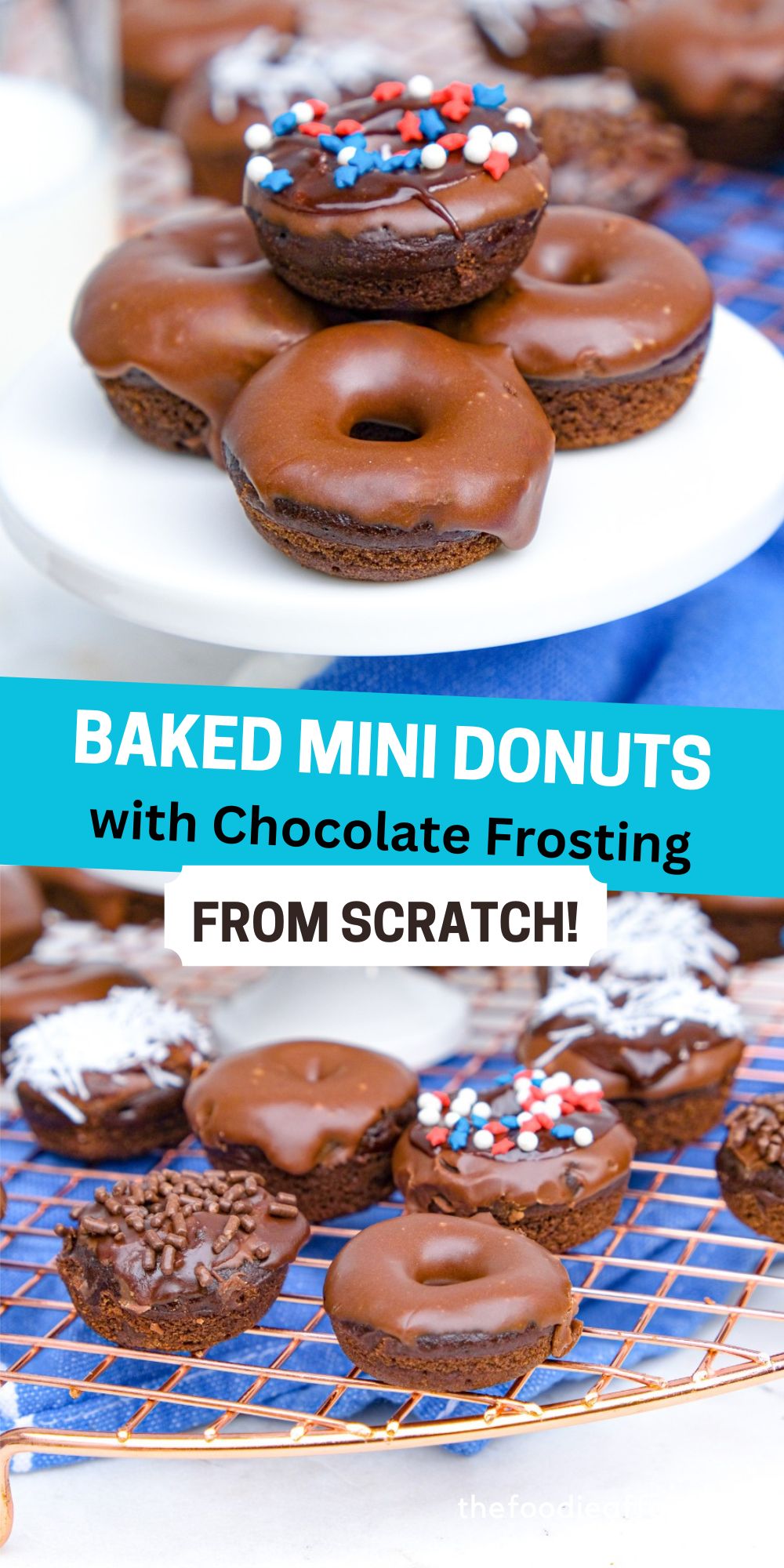 Baked Mini Chocolate Donuts Recipe - The Foodie Affair